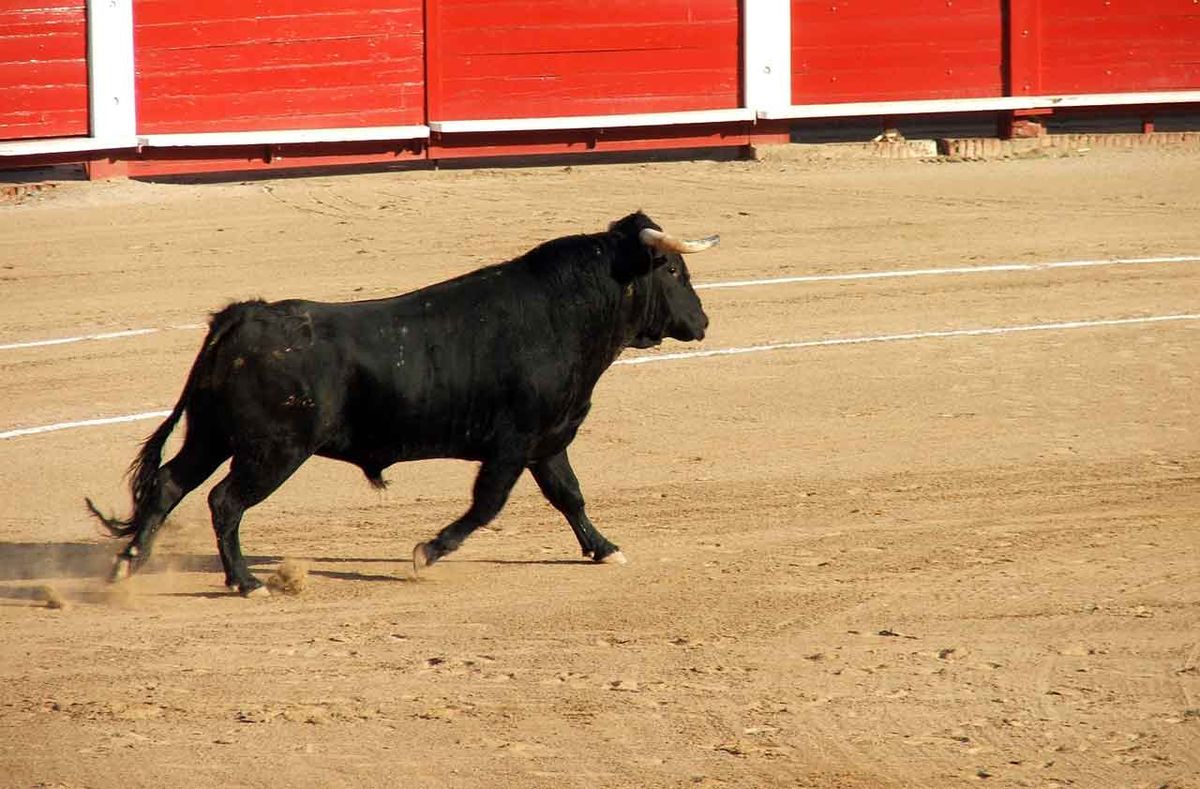 5 Stocks the Bull Market Left Behind | Kiplinger