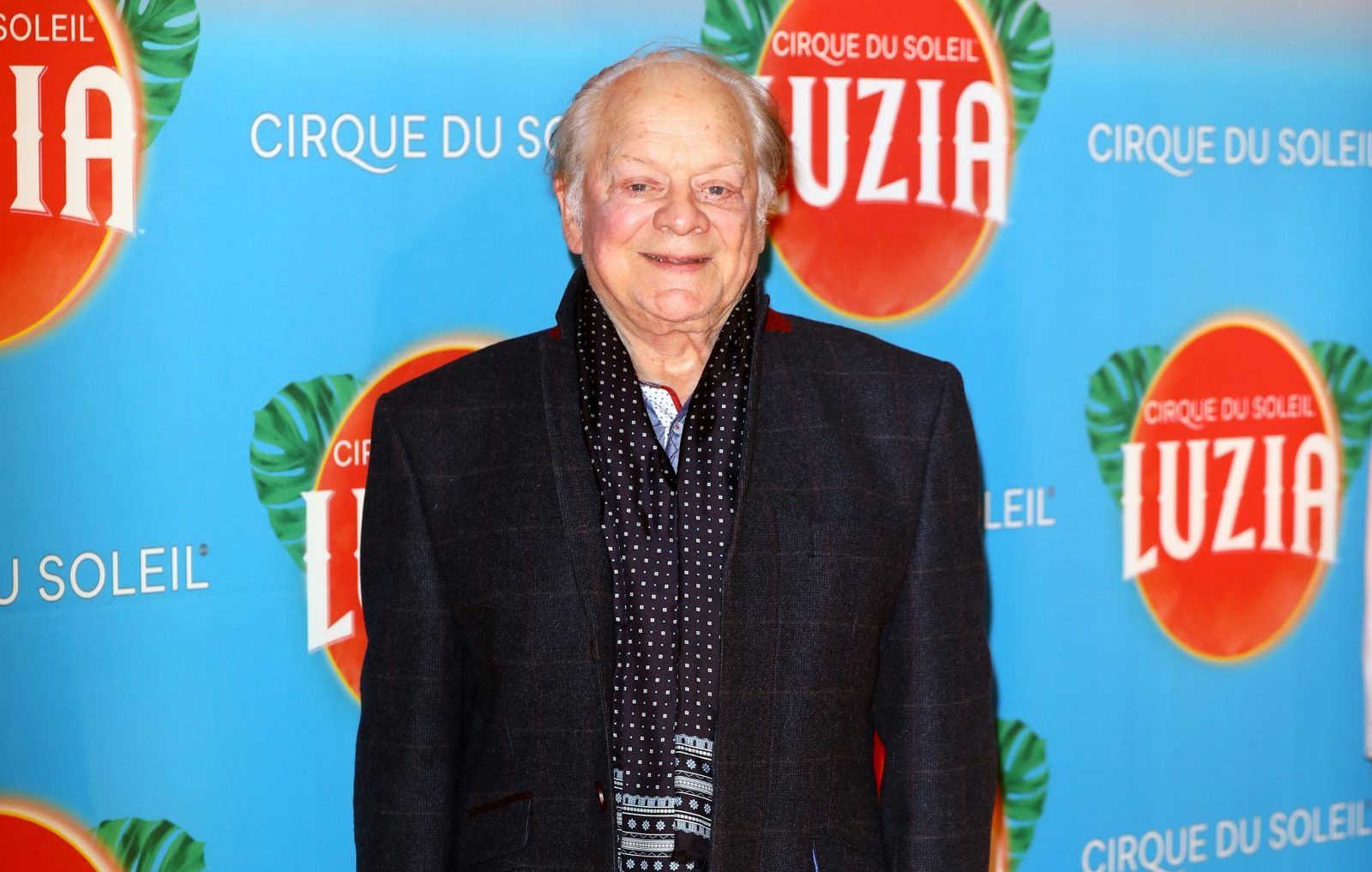 Sir David Jason - things you didn't know about the legendary actor ...
