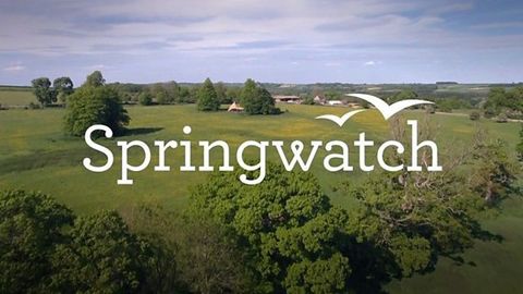 Springwatch on BBC2 - New presenters, locations, and everything you ...