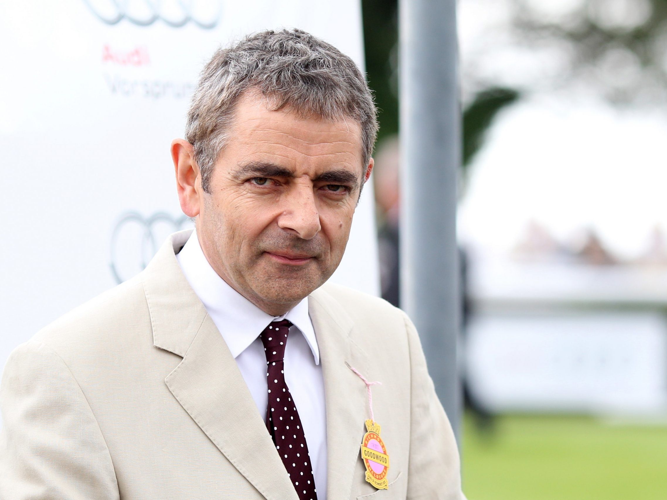 Rowan Atkinson Facts For Kids